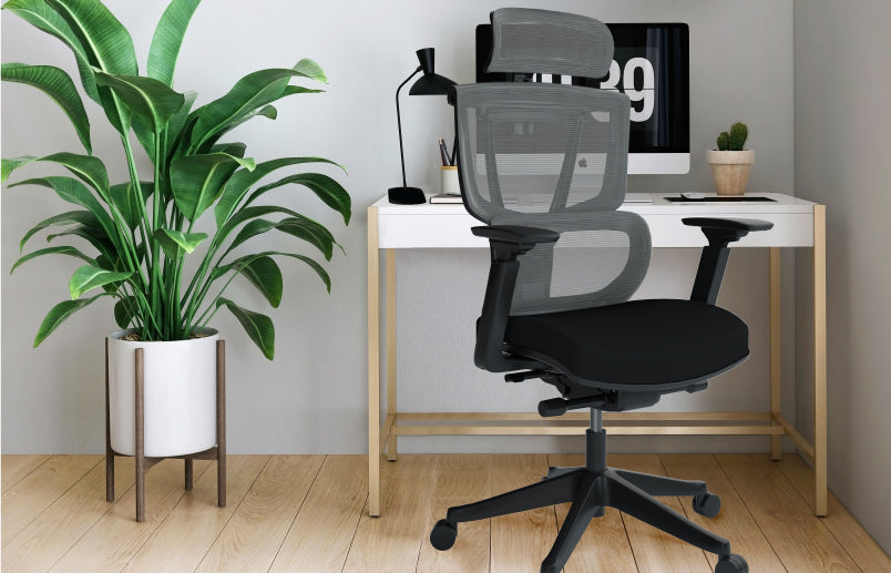Ergonomic Chair | Logicfox® Official Website